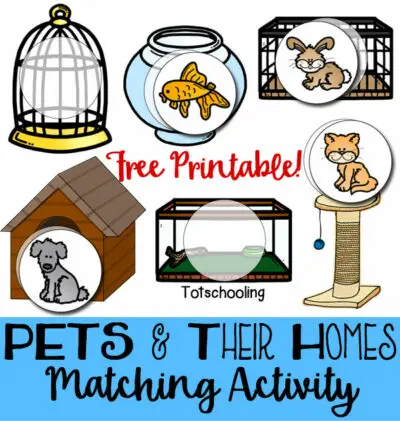 10 Best Pets Activities for Preschoolers - Education Outside