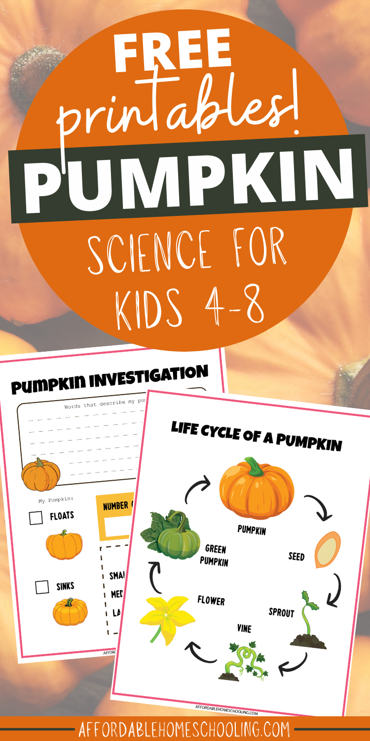 10 Helpful Science Worksheets for Preschool Kids - Education Outside