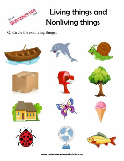 10 Helpful Science Worksheets for Preschool Kids - Education Outside